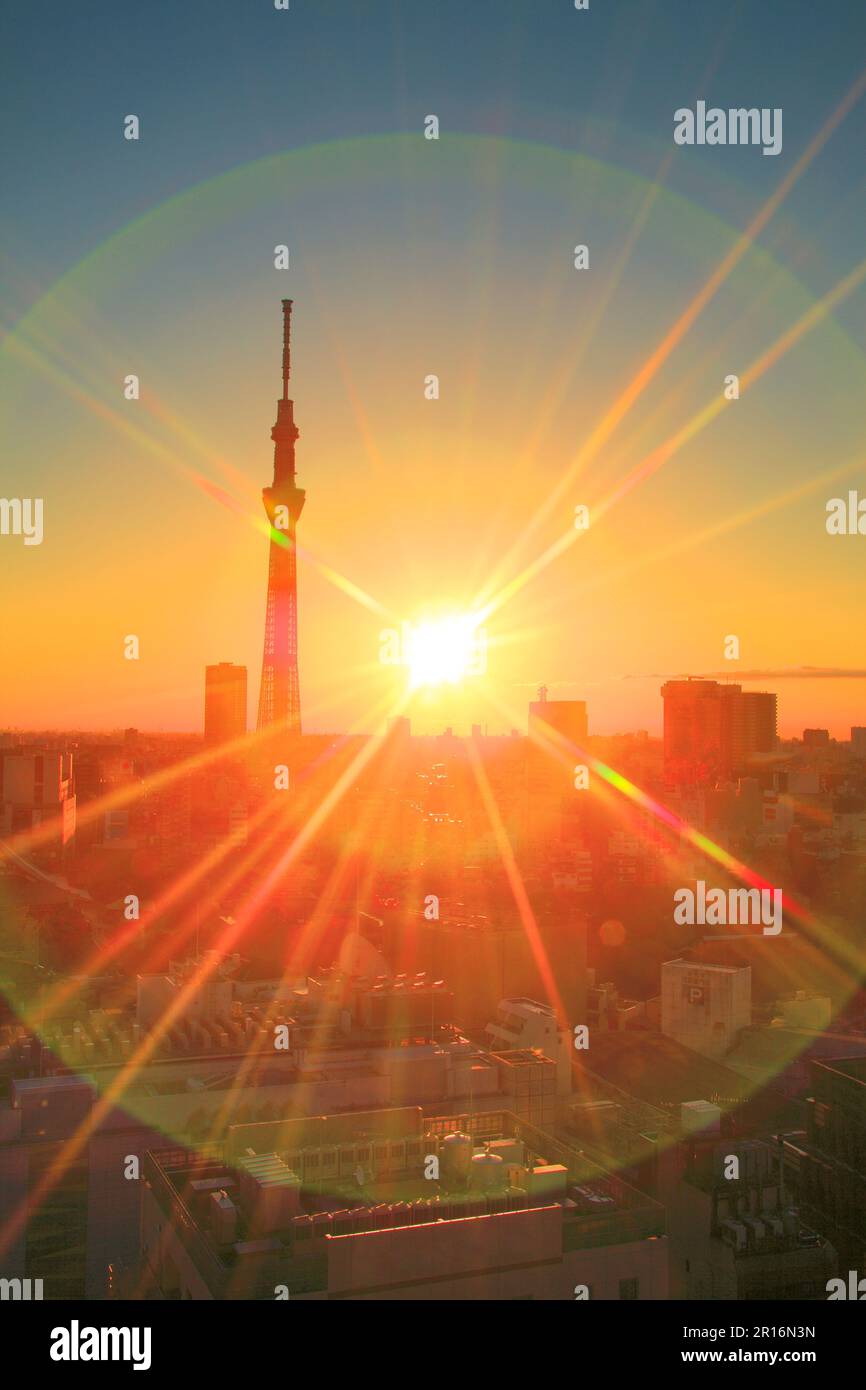 Tokyo Sky Tree and the glow of the morning sun Stock Photo - Alamy