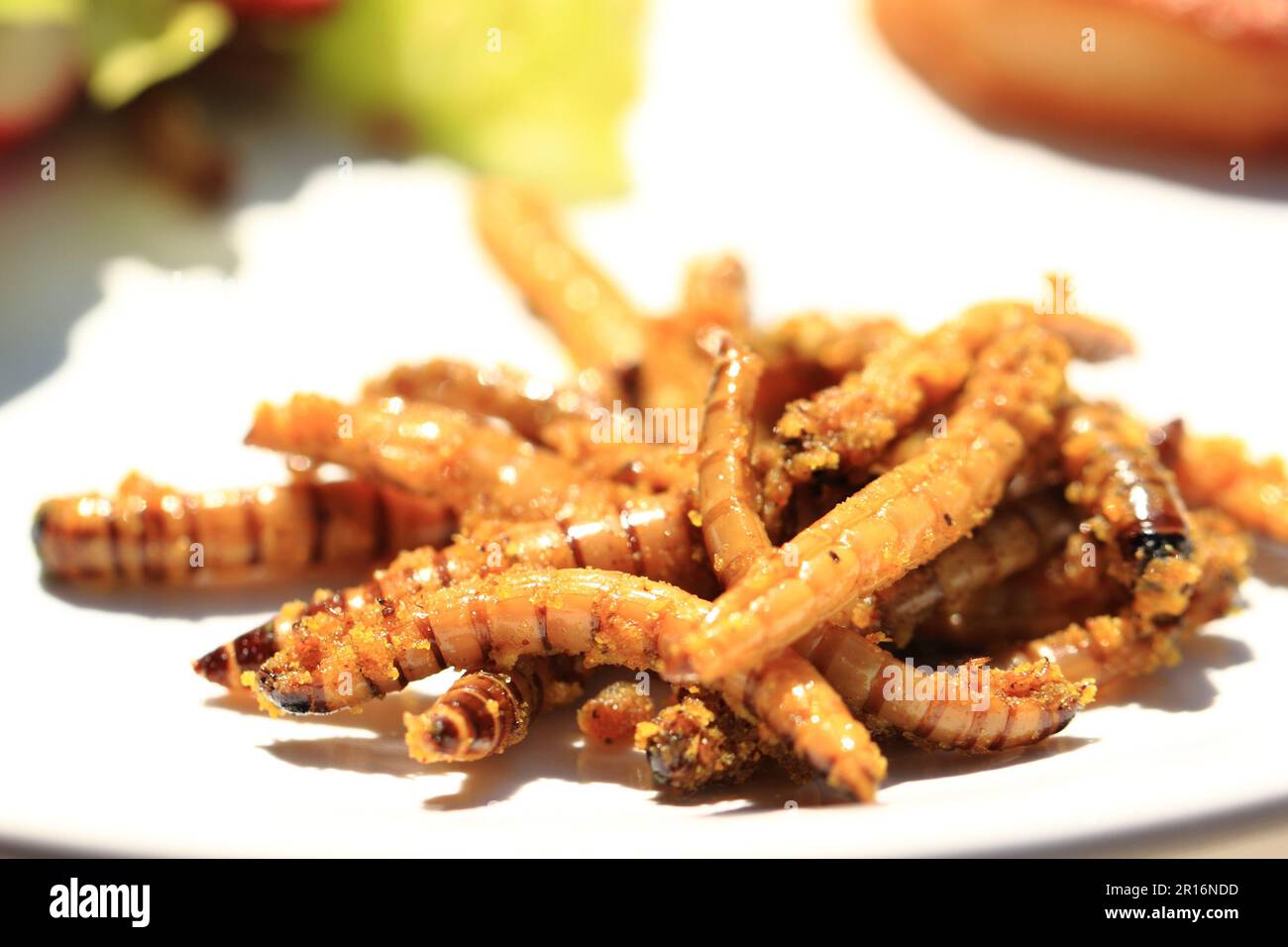 grilled worm with curry as gourmet background Stock Photo - Alamy