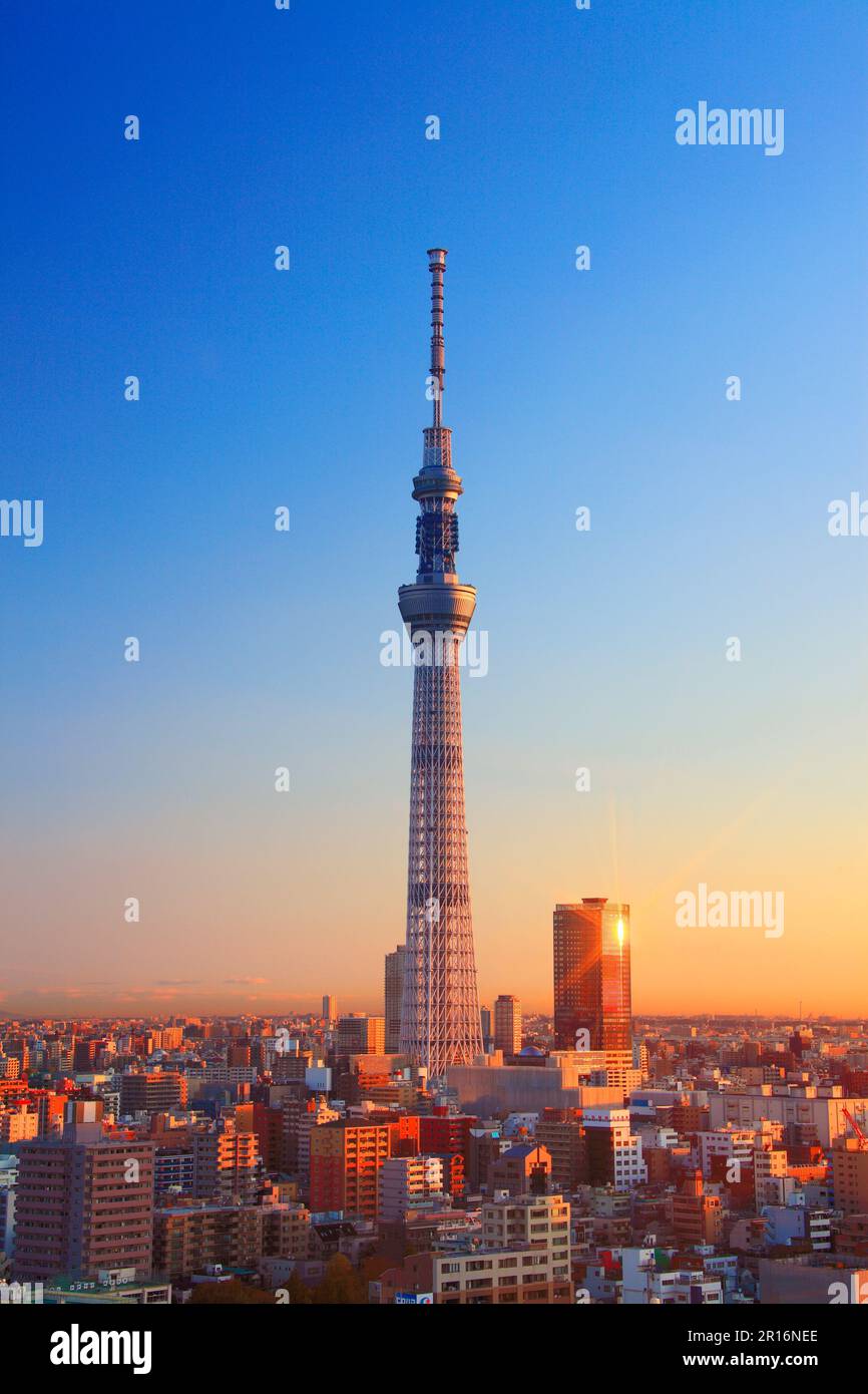 Tokyo japan november street in hi-res stock photography and images - Alamy