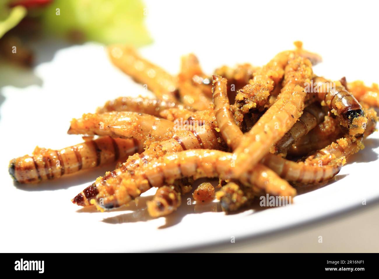 grilled worm with curry as gourmet background Stock Photo - Alamy