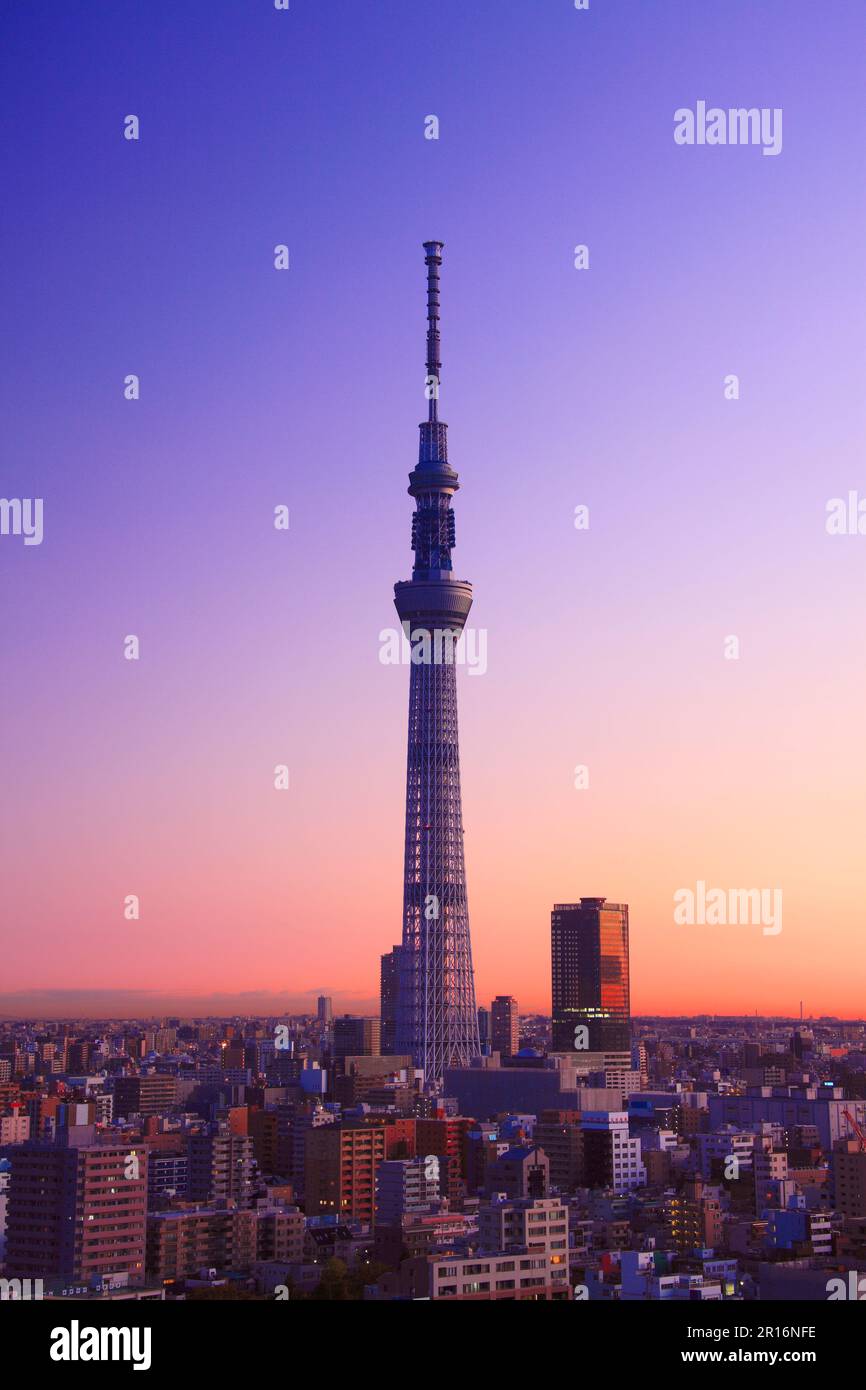 Tokyo Sky Tree in early morning Stock Photo - Alamy