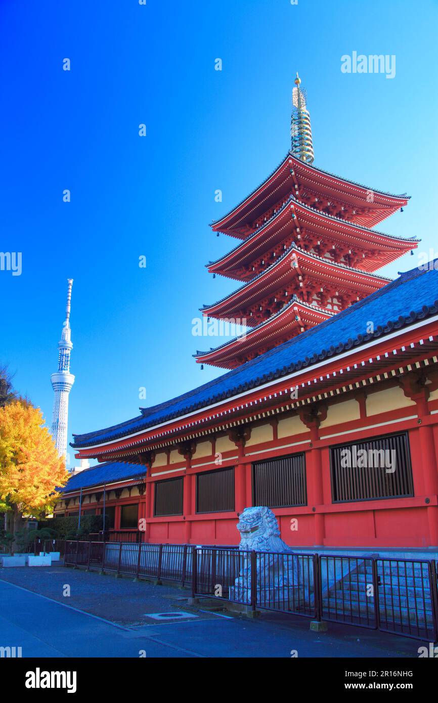 Tokyo Sky Tree and the five-story pagoda of Sensoji Temple Stock Photo ...