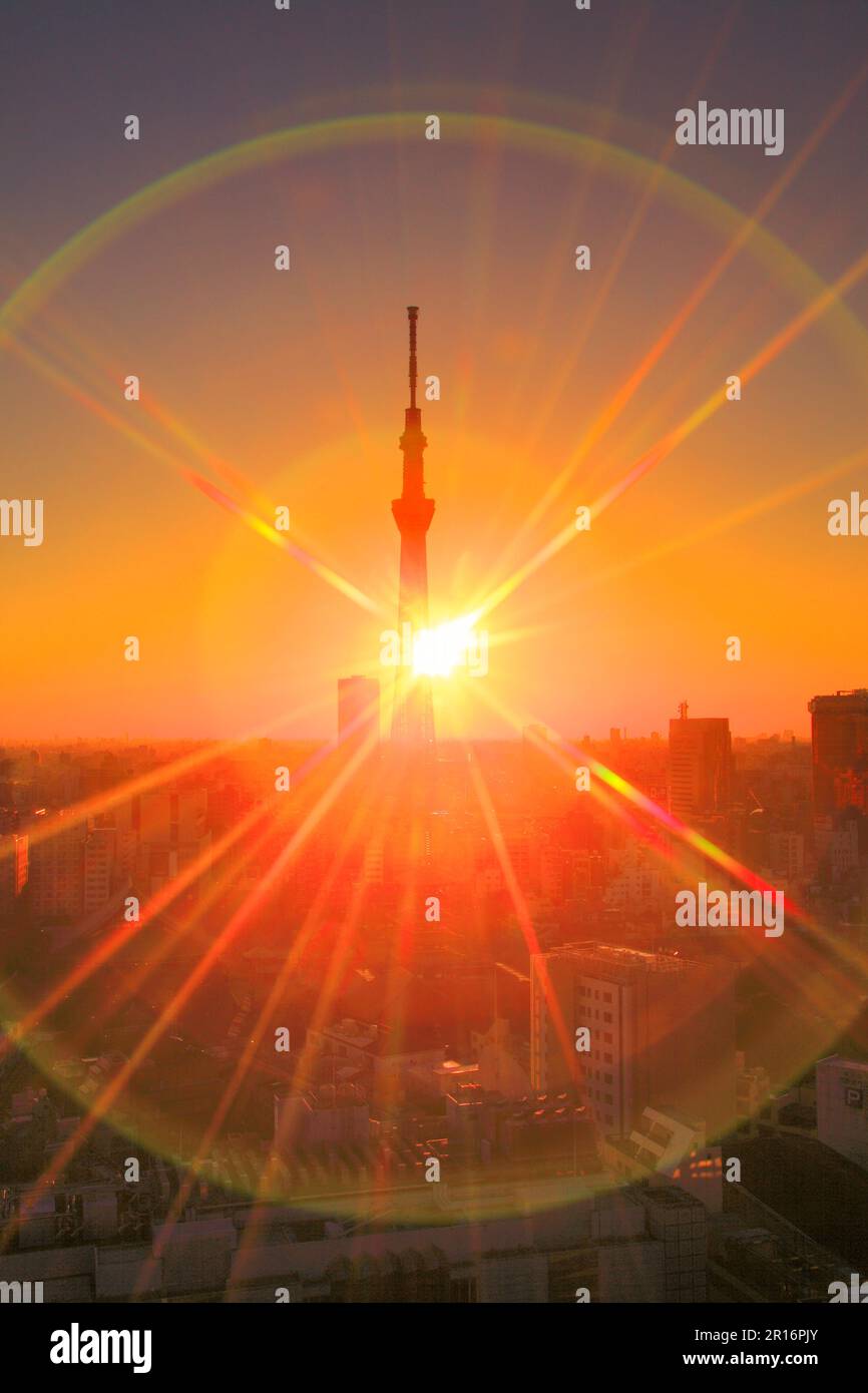 Tokyo Sky Tree and the glow of the morning sun Stock Photo - Alamy