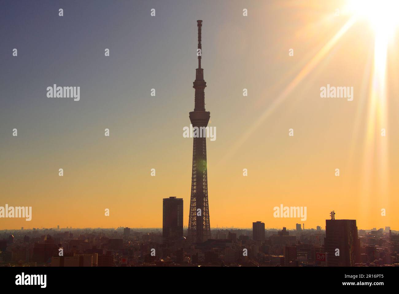 Tokyo Skytree and Glowing Morning Sunlight Stock Photo - Alamy