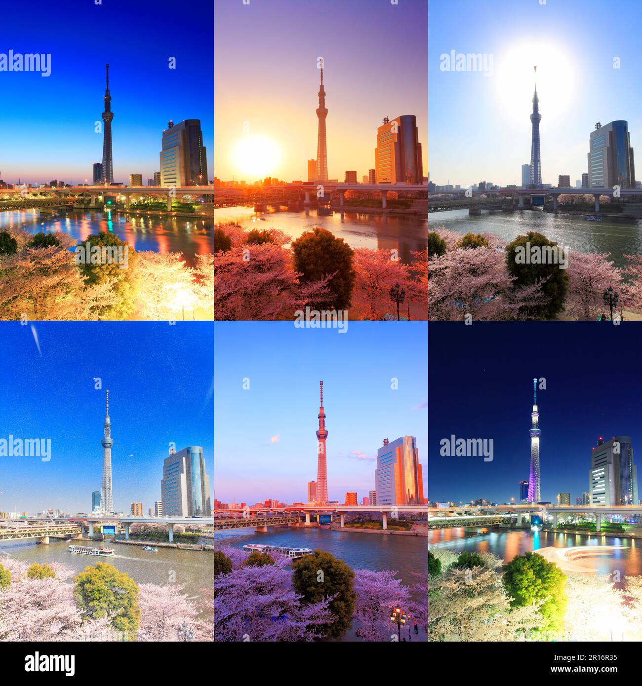 A day at Cherry blossom forest in Sumida Park, Tokyo Skytree and Sumida ...