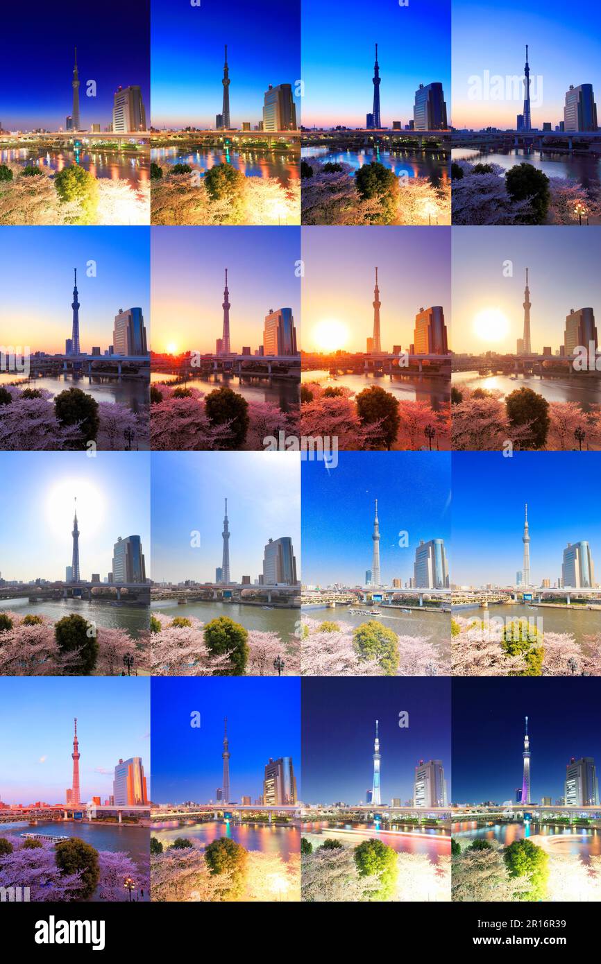 A day at Cherry blossom forest in Sumida Park, Tokyo Skytree and Sumida ...