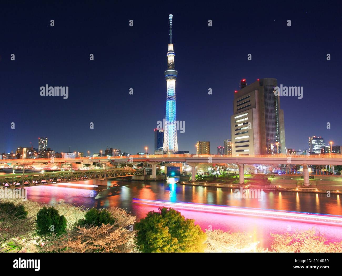 Cherry blossom forest in Sumida Park, glowing Tokyo Skytree and Sumida ...