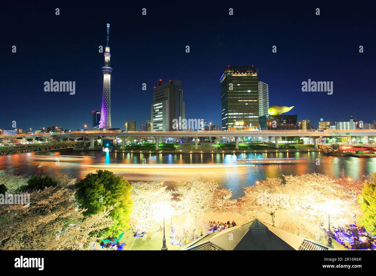Cherry blossom forest in Sumida Park, glowing Tokyo Skytree and Sumida ...