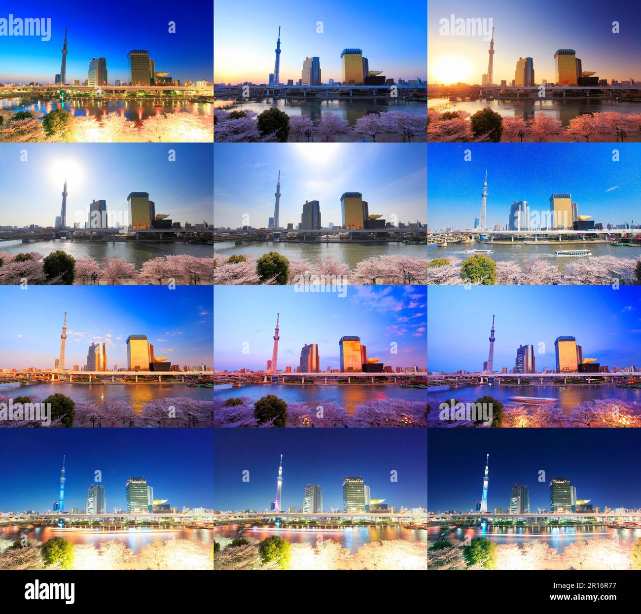 A day at Cherry blossom forest in Sumida Park, Tokyo Skytree and Sumida ...