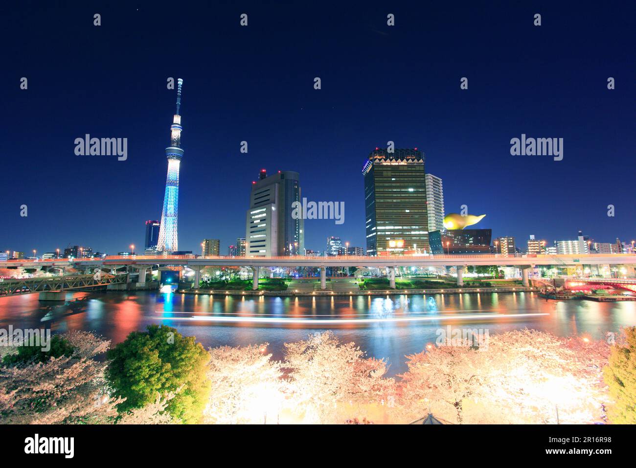 Cherry blossom forest in Sumida Park, glowing Tokyo Skytree and Sumida ...