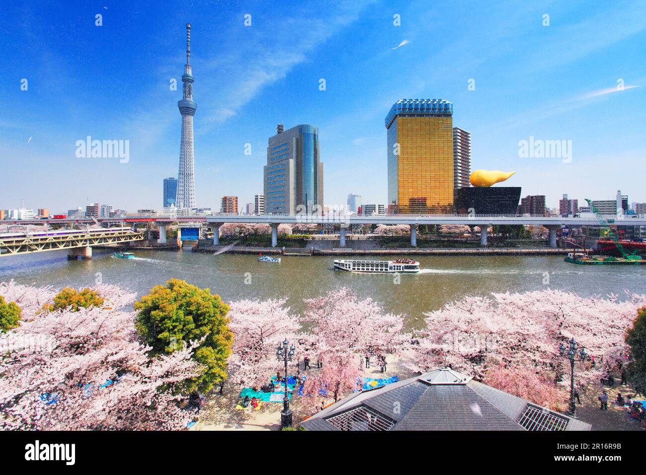 Cherry Blossom Petals in Sumida Park, Tokyo Skytree, Sumida River, Ship ...
