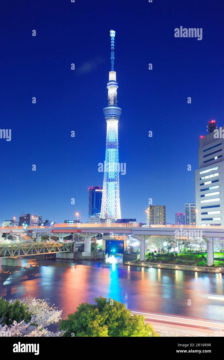 Cherry blossom forest in Sumida Park, glowing Tokyo Skytree and Sumida ...
