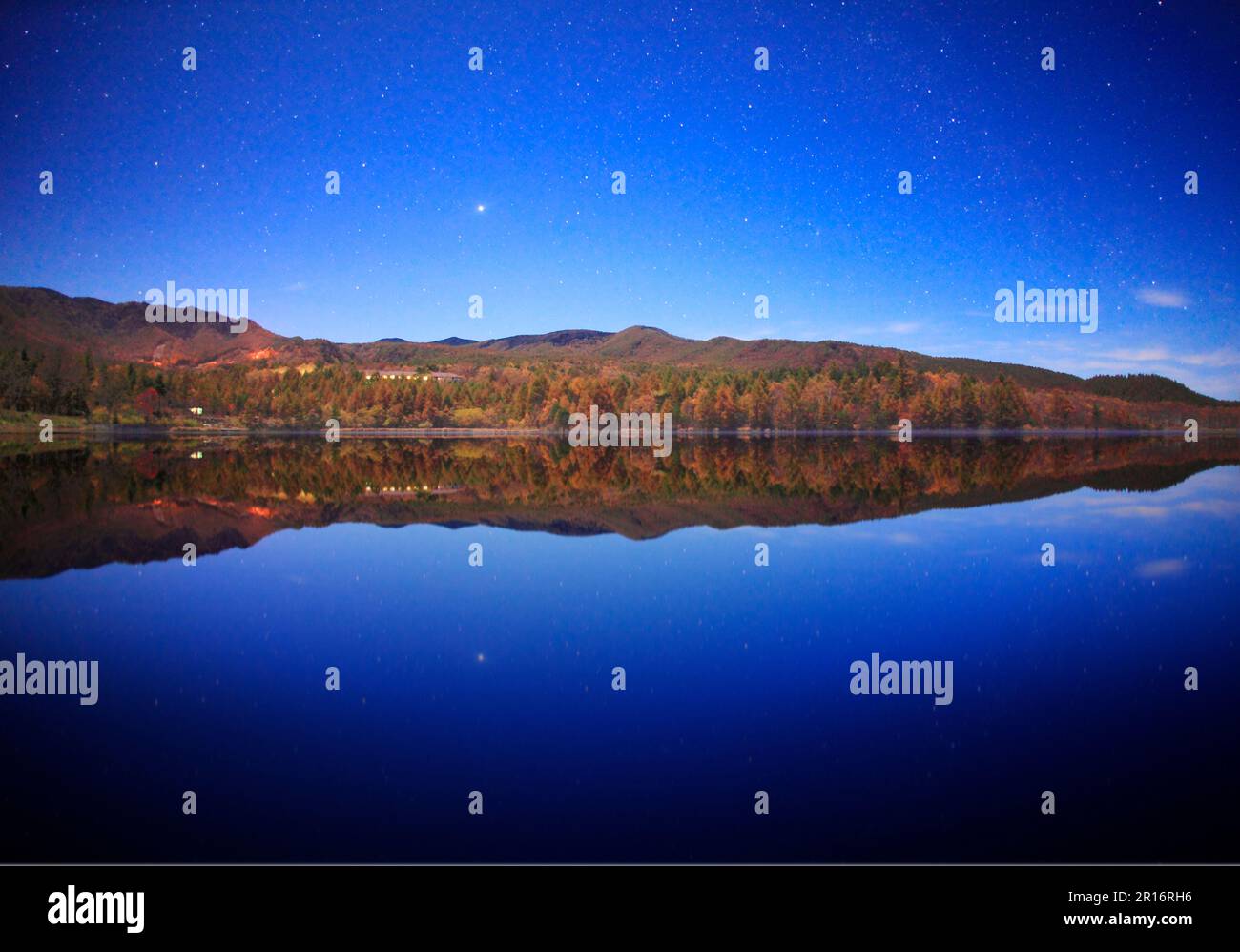 Yatsugatake north and Yachiho Lake and starry sky and forest foliage ...