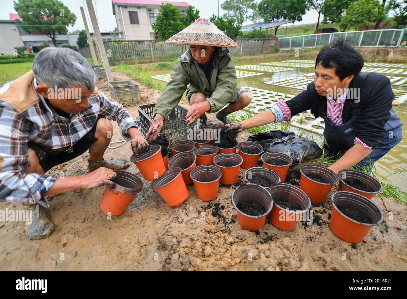 Put into soil hi-res stock photography and images - Alamy