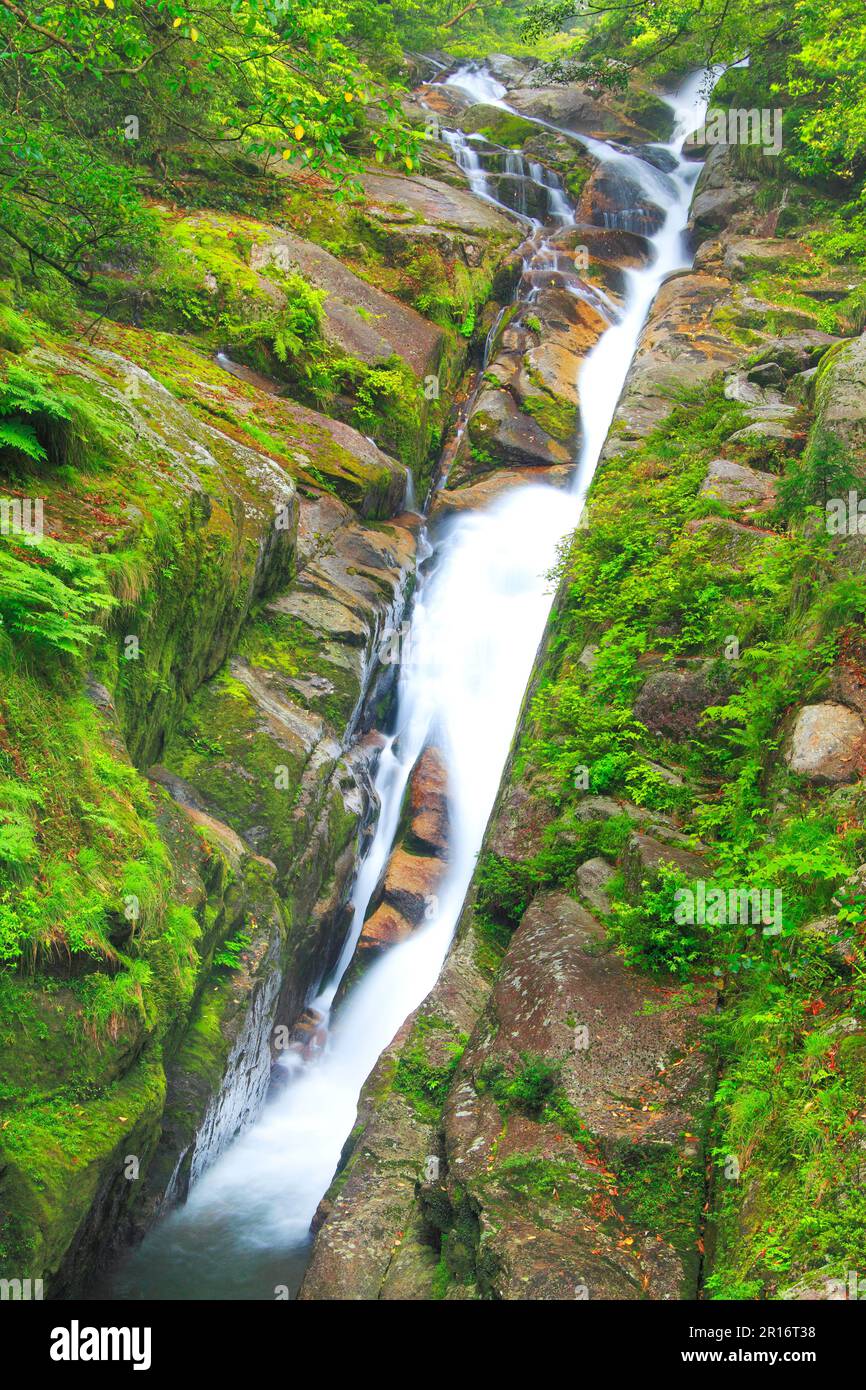 From dragon bridge hi-res stock photography and images - Alamy