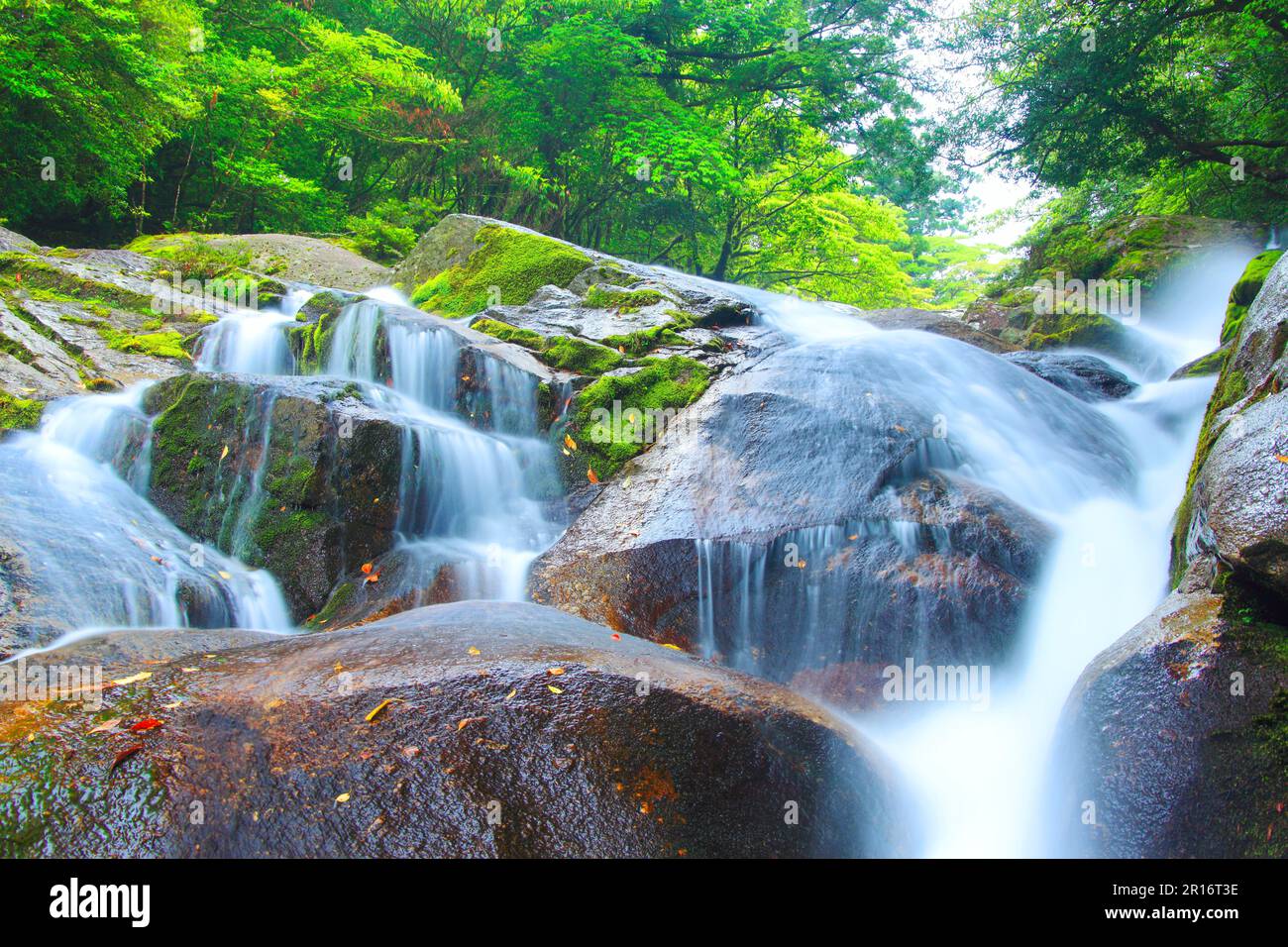 Greenery and waterfall Stock Photo - Alamy