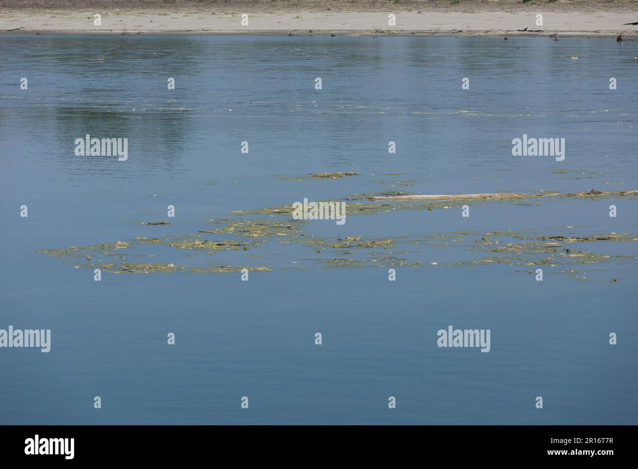 River eridanus hi-res stock photography and images - Alamy