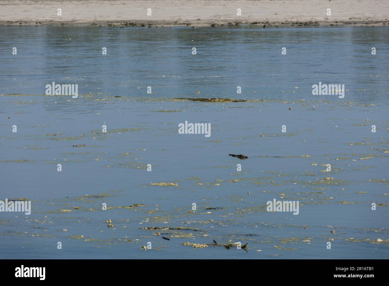The Po, Italian: Latin: Padus or Ēridanus; Ancient Ligurian: Bodincus ...