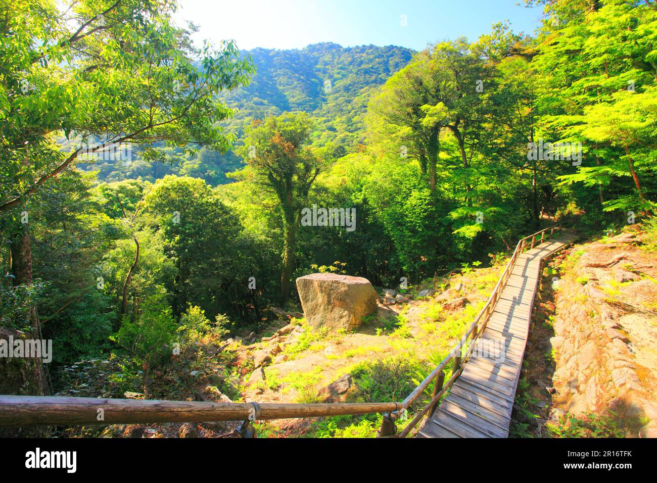 Japan mountain trail hi-res stock photography and images - Alamy