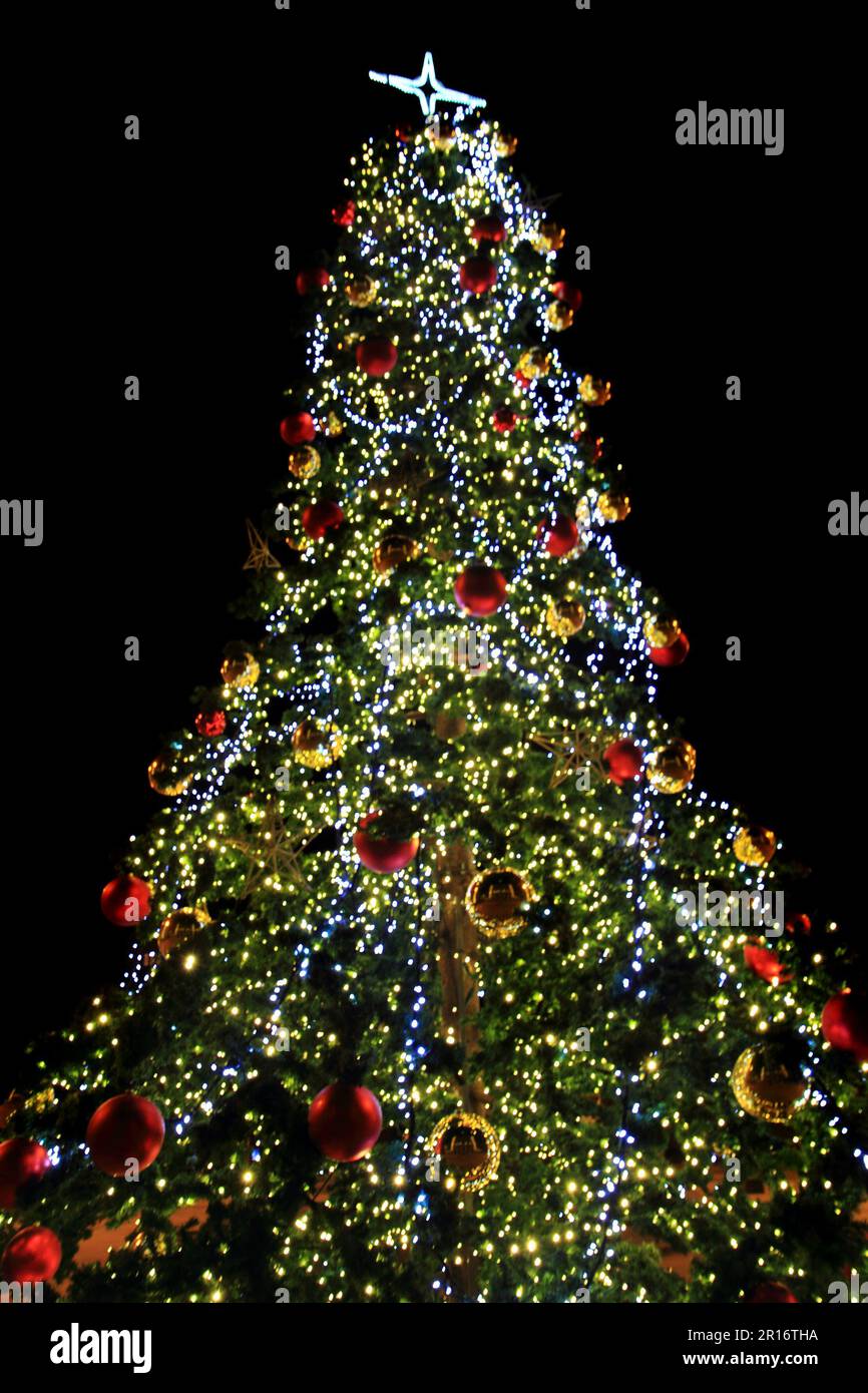 christmas tree in the dark night as holiday background Stock Photo - Alamy