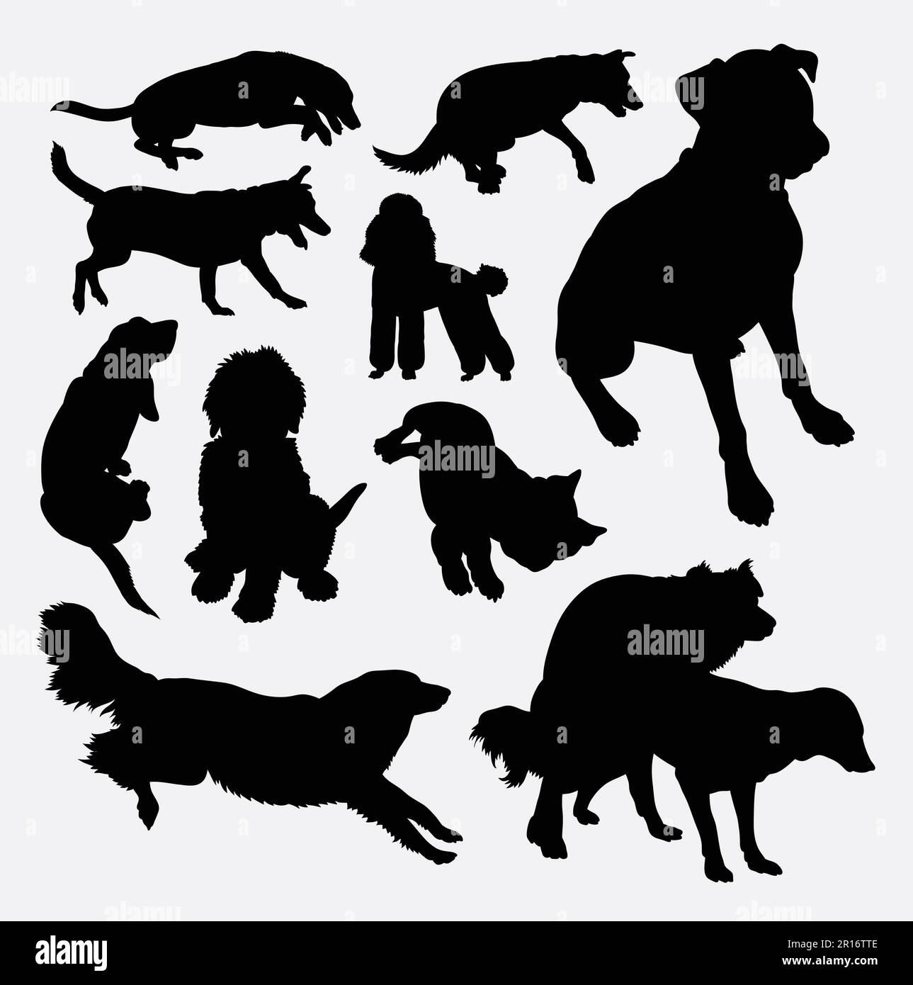 Vector cartoon dog action Stock Vector Images - Alamy