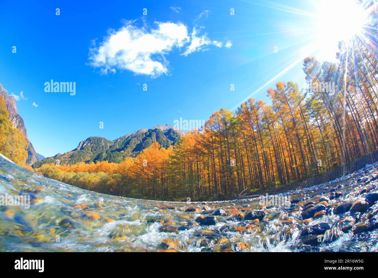 Autumn larch tree, clear stream of Azusa river, Roppyakuzan, and the ...