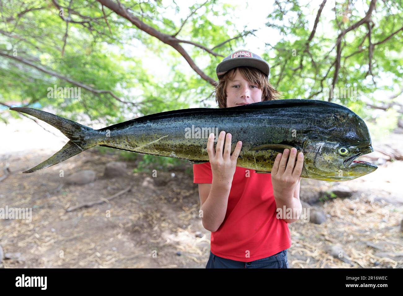 Tourist teenager holding a beautiful dorado fish in a shadow of a tree ...