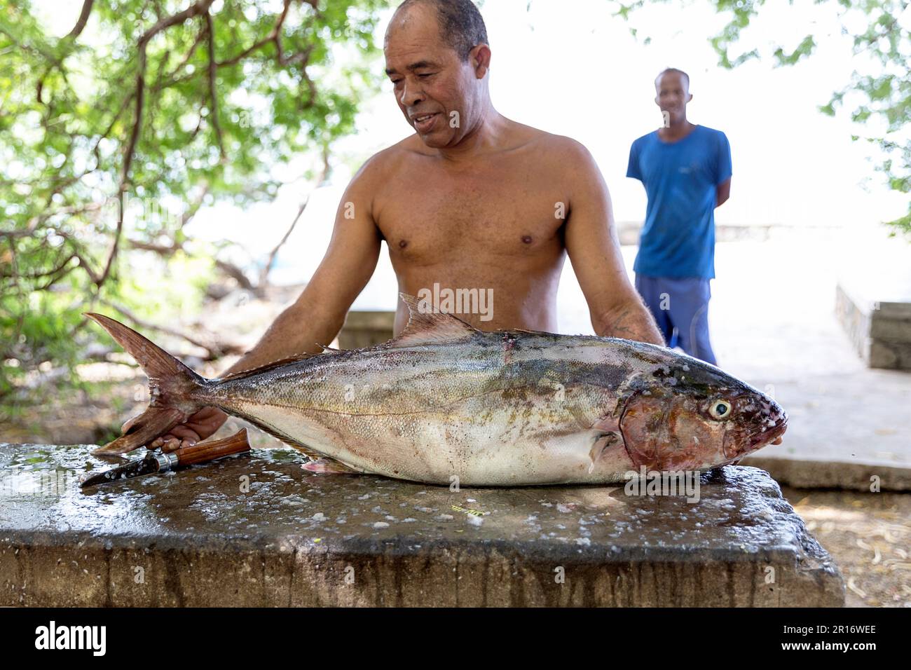 Local fisherman preparing daily catch, dorado fish on a beach in a ...