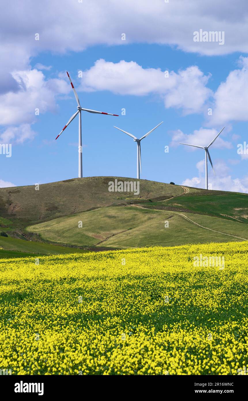 spring landscape with wind turbines in Sicily, Italy Stock Photo - Alamy