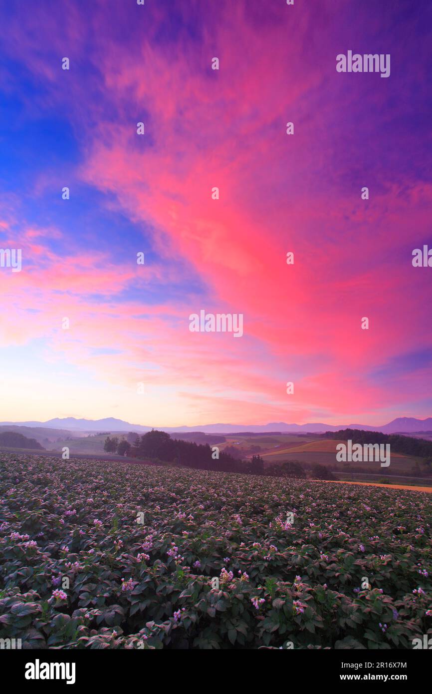 Potato mountains hi-res stock photography and images - Alamy