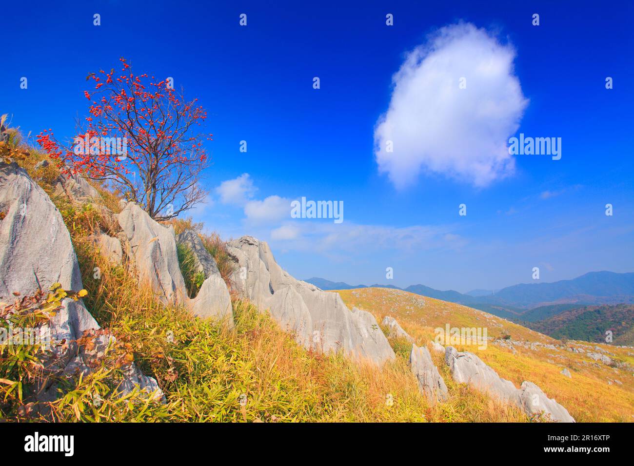 Mountains ranges such as mount Katsuragiyama , cotton clouds ...