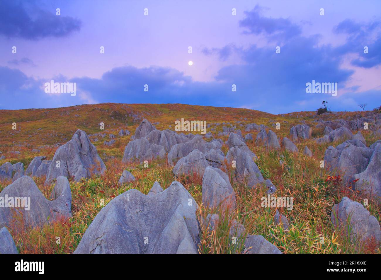 Limestone of Karst plateau and moon in the morning Stock Photo - Alamy