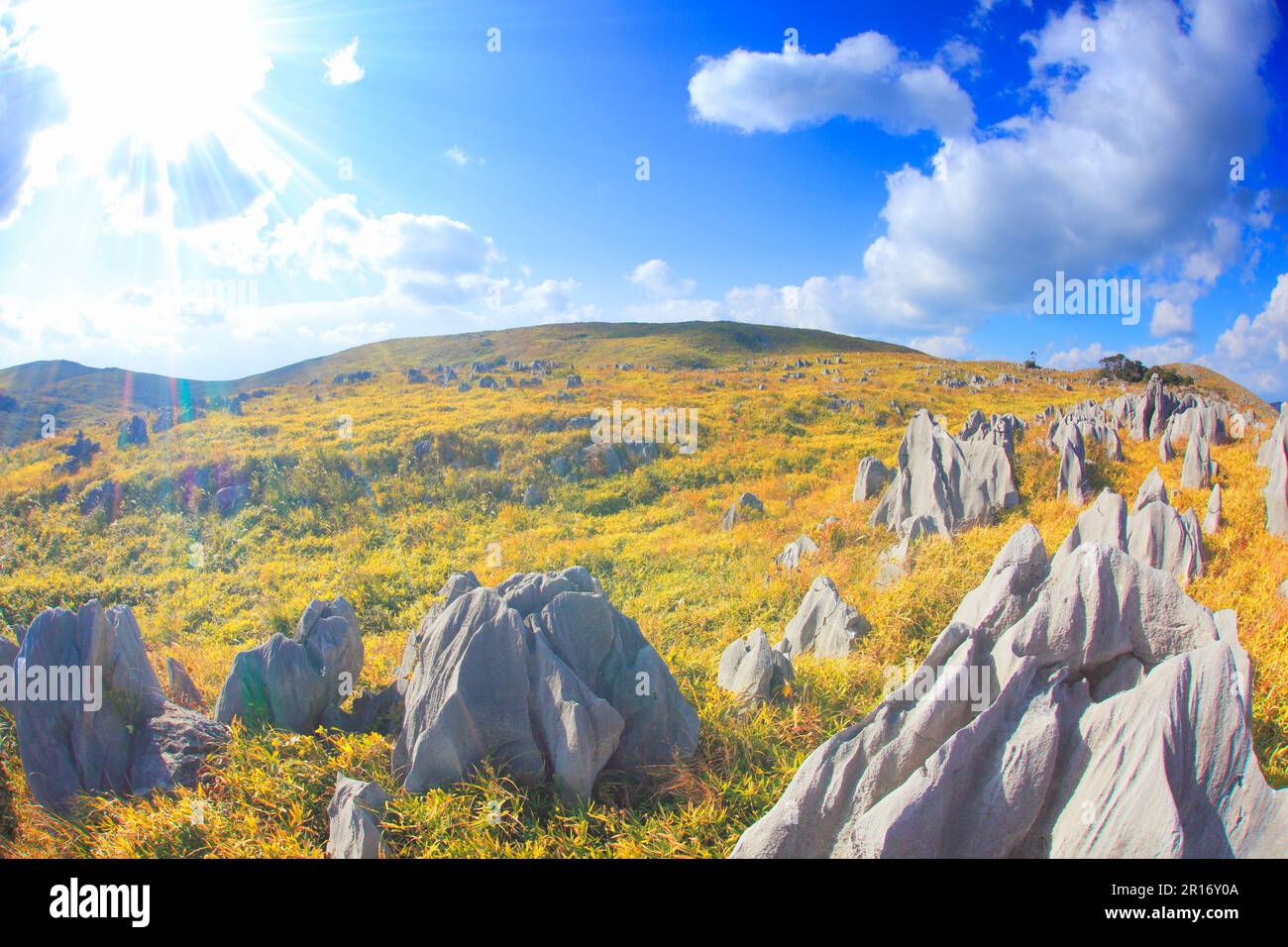 Limestone of Karst plateau and glow of the sun Stock Photo - Alamy
