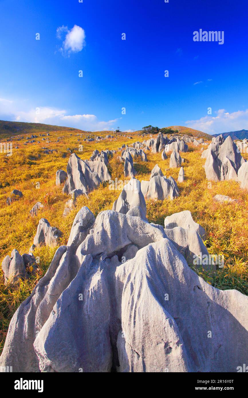 Limestone of Karst plateau Stock Photo - Alamy
