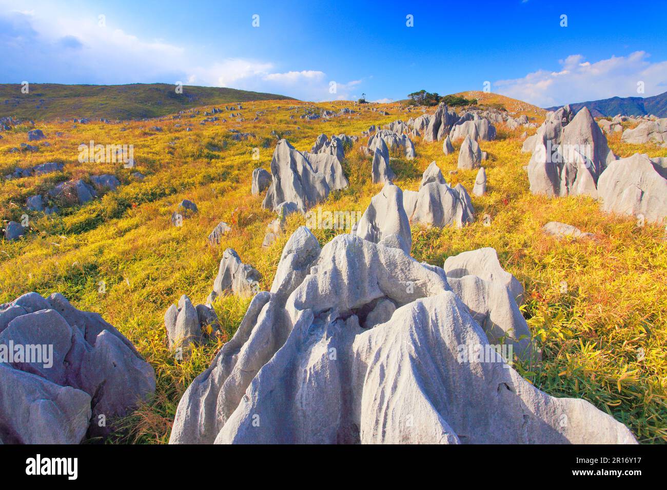 Limestone of Karst plateau Stock Photo - Alamy
