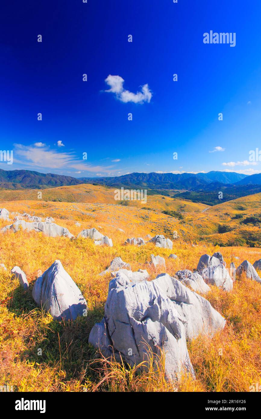 Mount Odake , limestone of Karst plateau and grass foliage Stock Photo ...