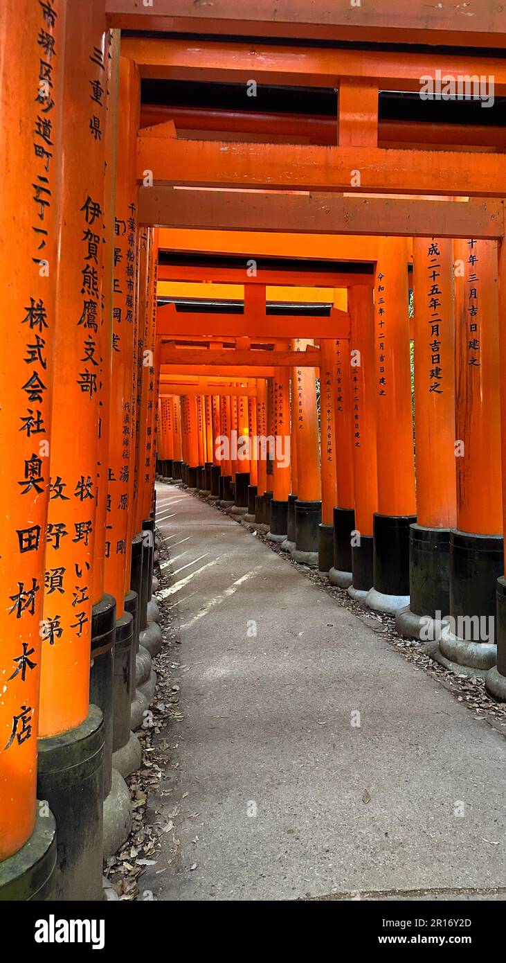 A scenic view of the Fushimi Inari Shrine in Japan with multiple orange ...