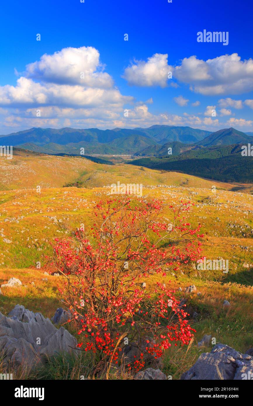 Mt odake hi-res stock photography and images - Alamy