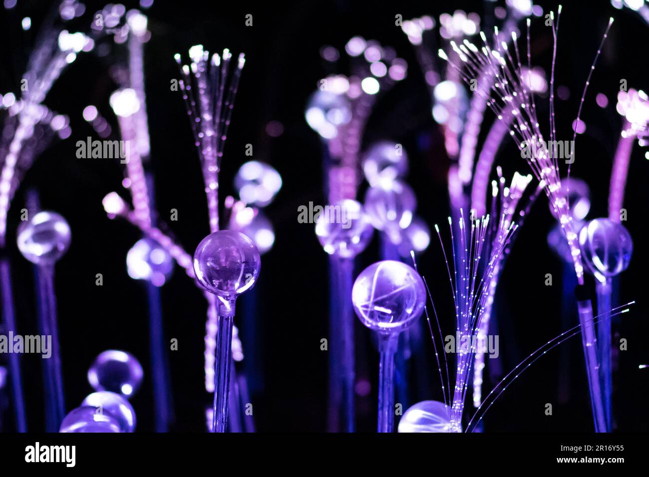 Blue, purple or pink fiber optic strands or filaments creating a magic ...