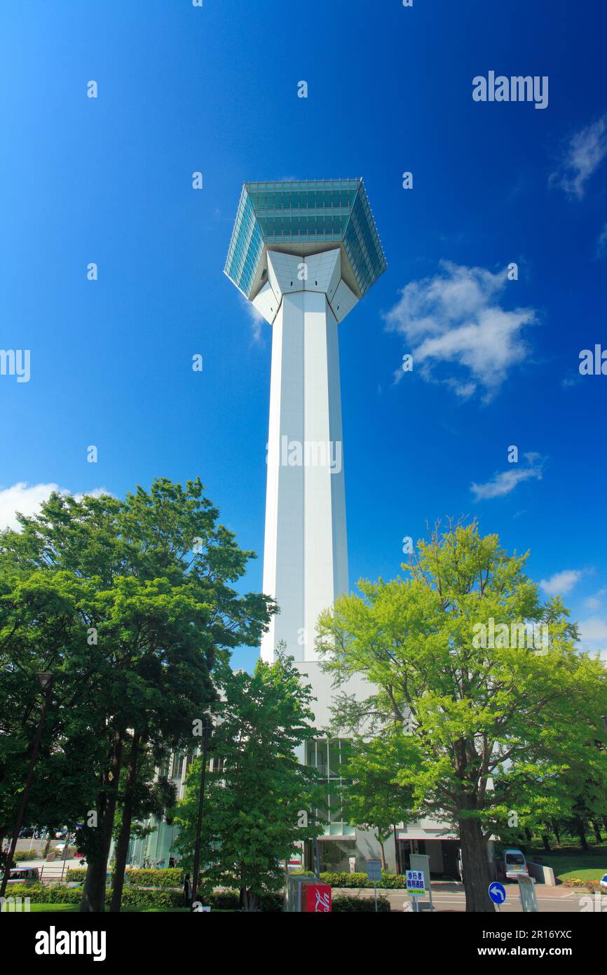 Goryokaku tower hi-res stock photography and images - Alamy