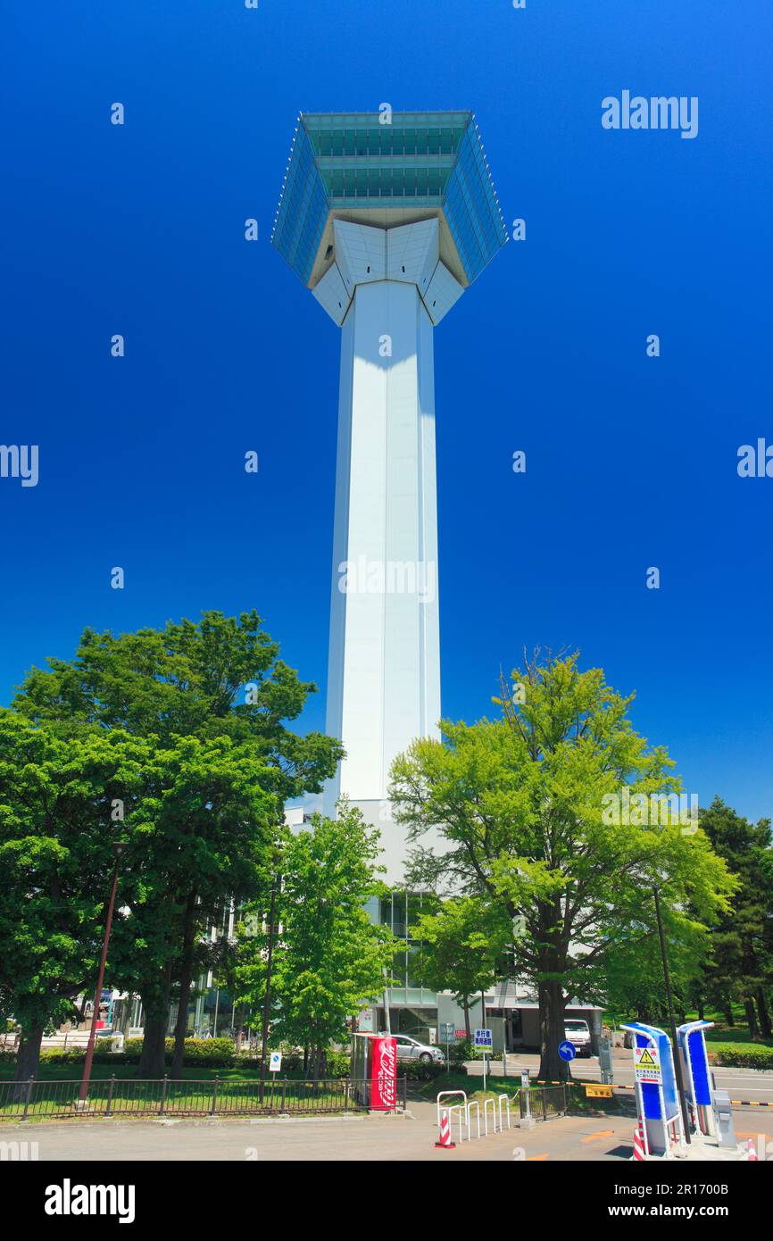 Goryokaku tower hi-res stock photography and images - Alamy