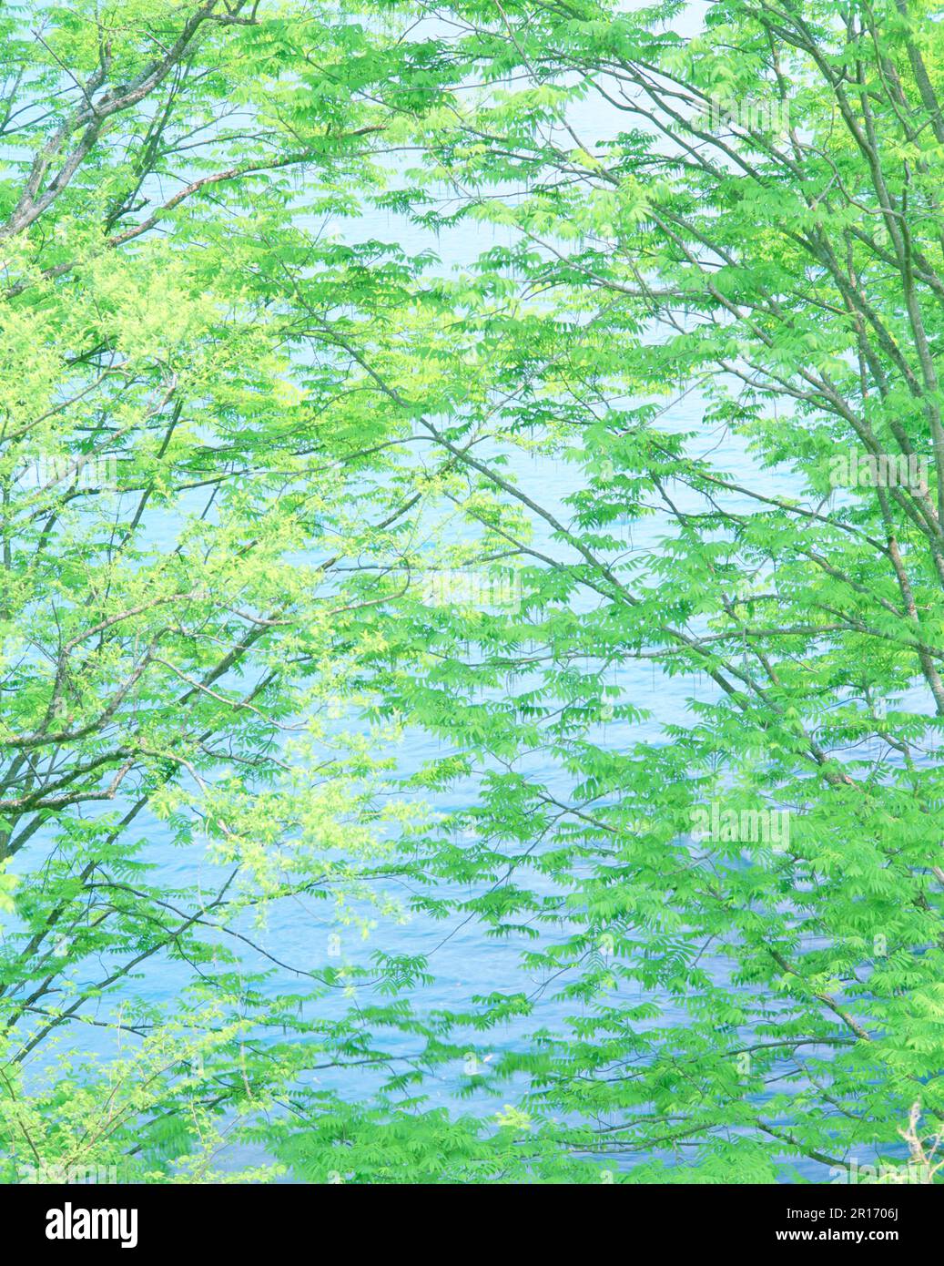 Verdure hi-res stock photography and images - Alamy