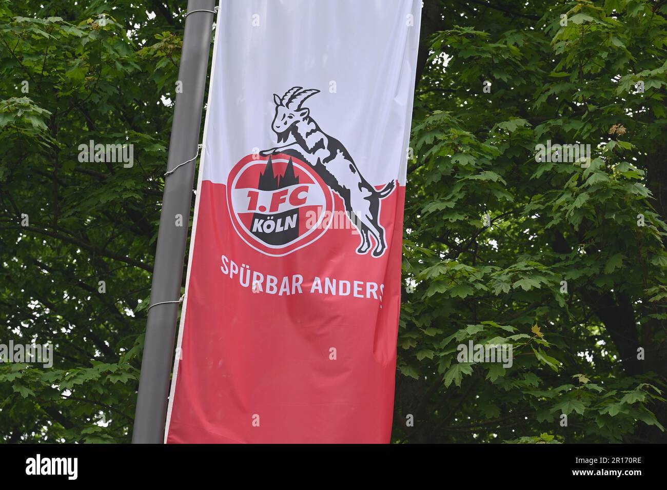 Cologne, Germany. 11th May, 2023. A flag in red and white with the logo ...