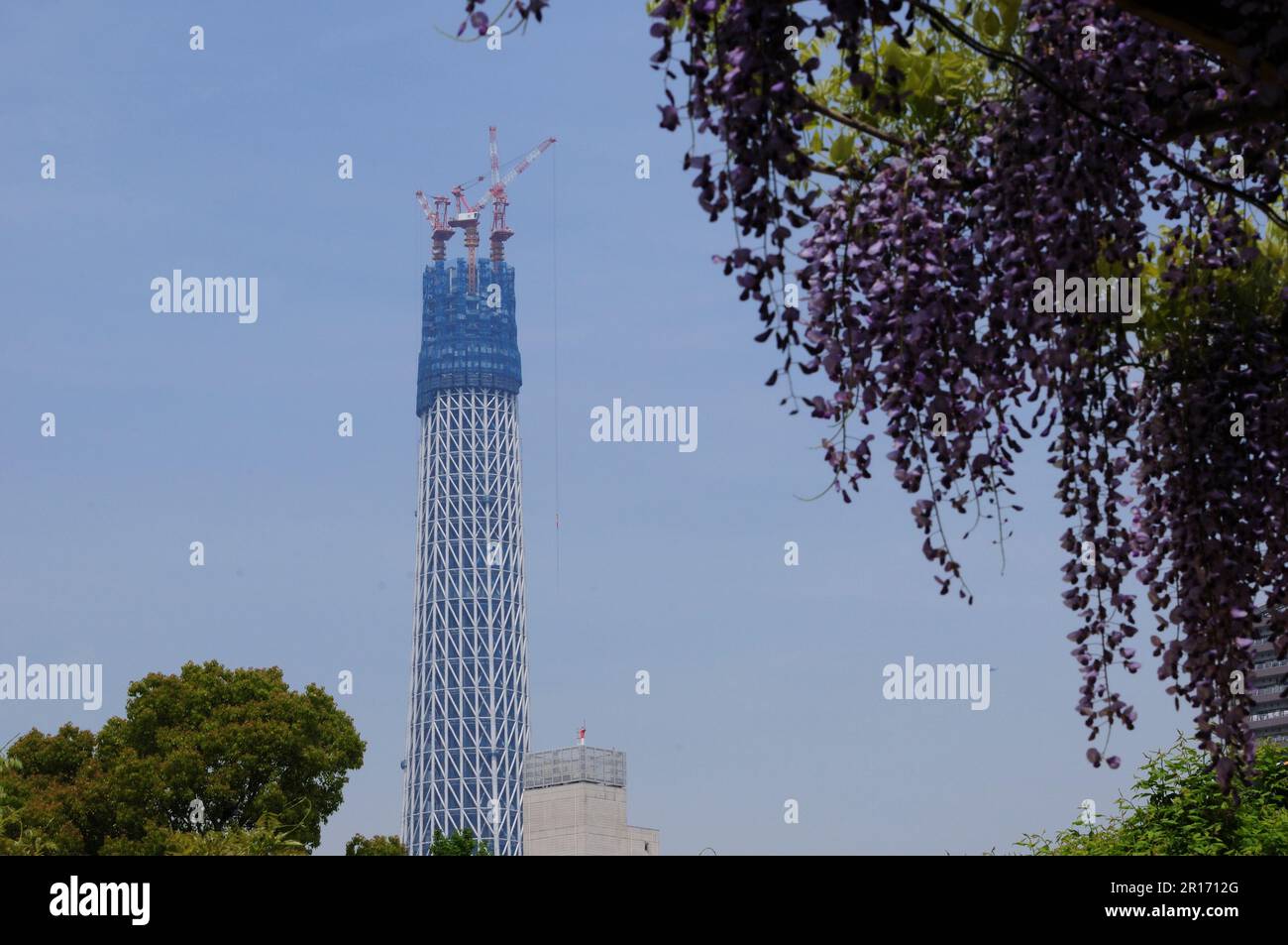 Tokyo Sky Tree view from Kameido Tenjin Shrine Stock Photo - Alamy