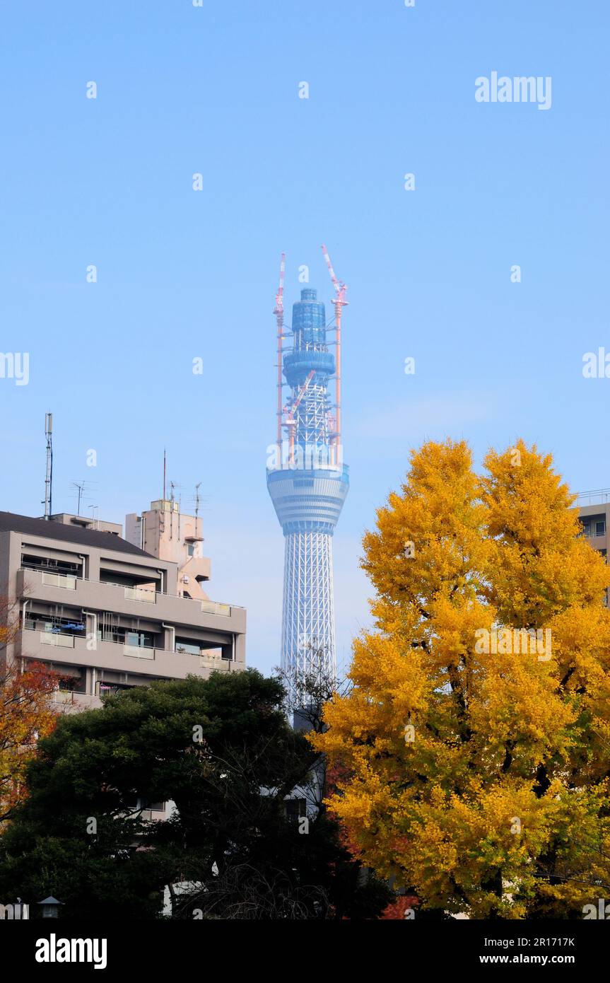 Yokozuna hi-res stock photography and images - Alamy