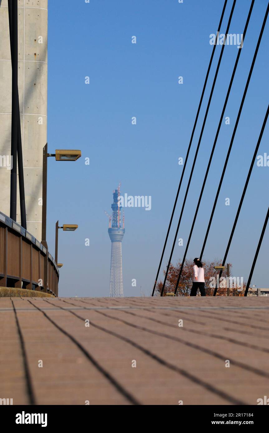 Sky tree view from Kiba park Stock Photo - Alamy