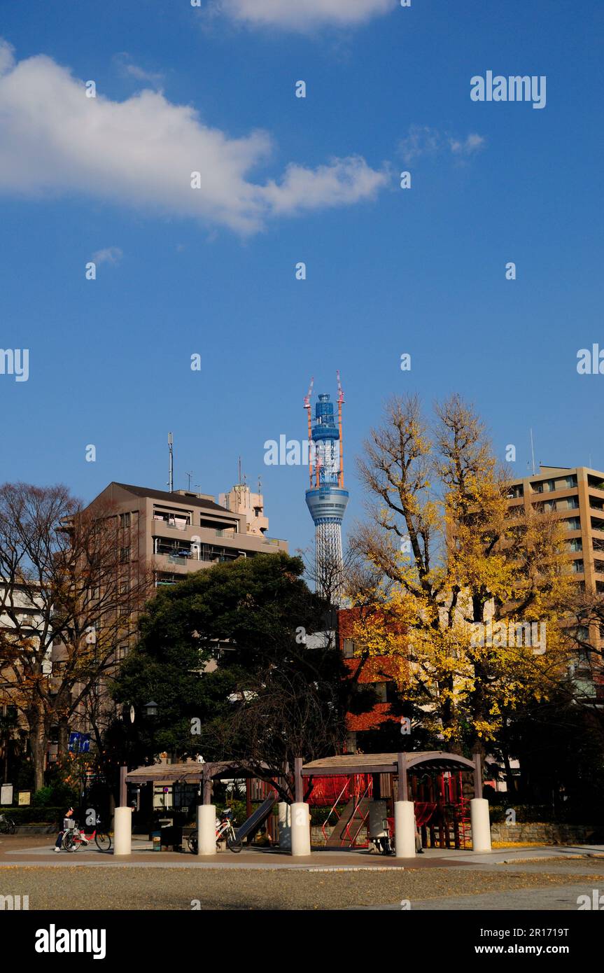 Yokozuna cho park hi-res stock photography and images - Alamy