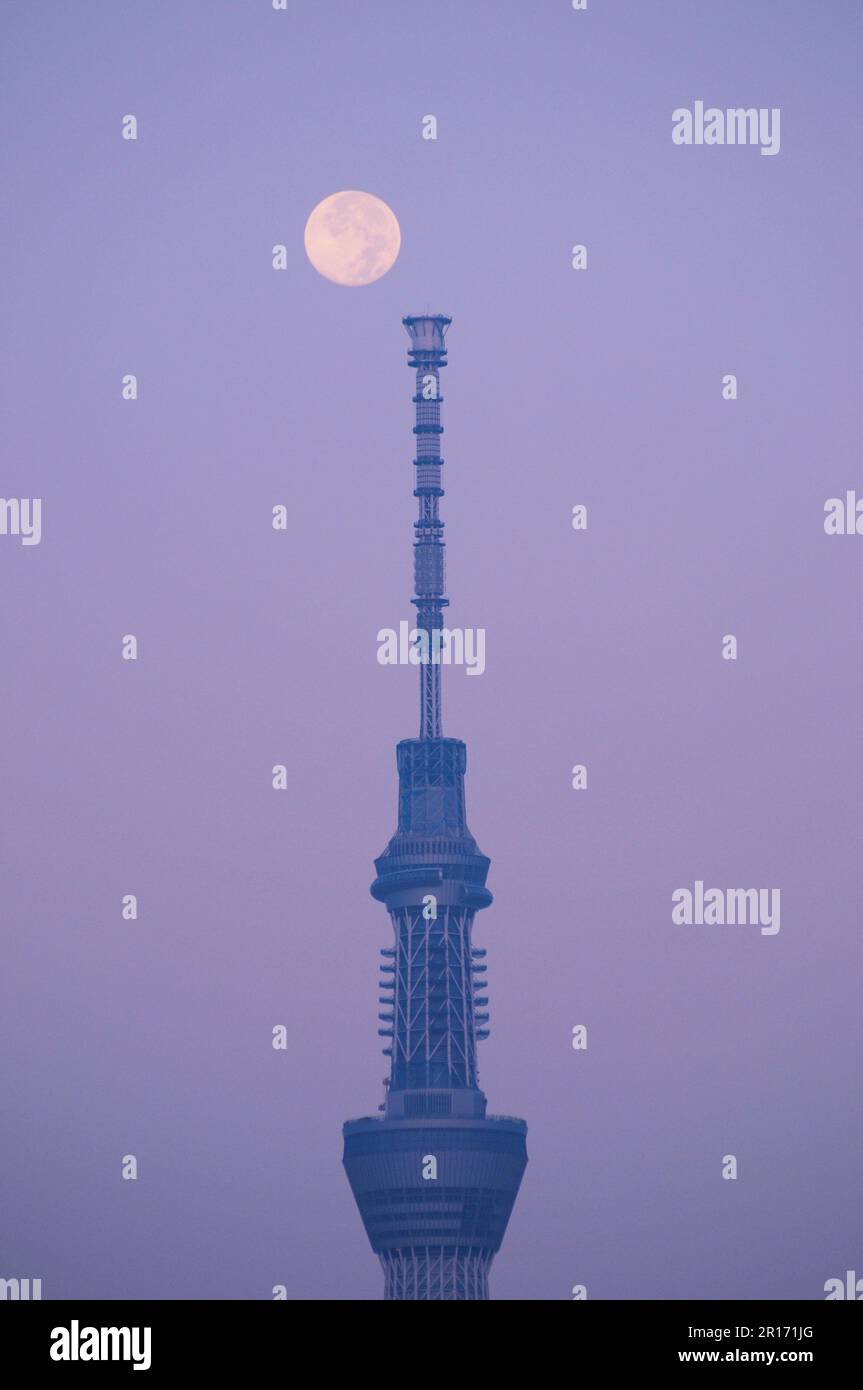 Full moon view of Tokyo sky tree Stock Photo - Alamy