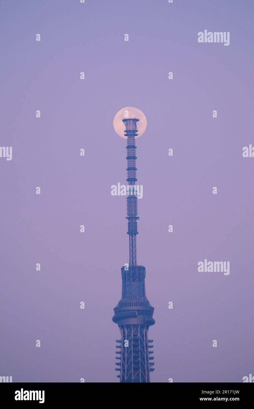 Full moon view of Tokyo sky tree Stock Photo - Alamy