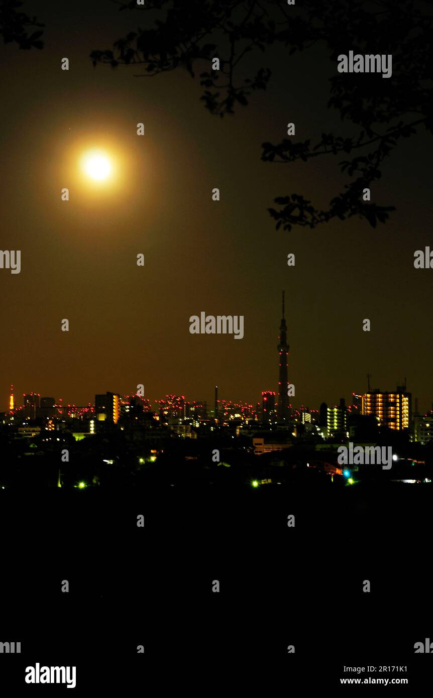 Night view tokyo skytree and full moon hi-res stock photography and ...